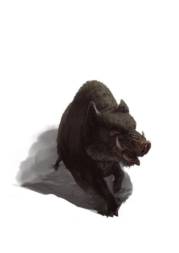 Boar - Monsters - Archives of Nethys: Pathfinder 2nd Edition Database