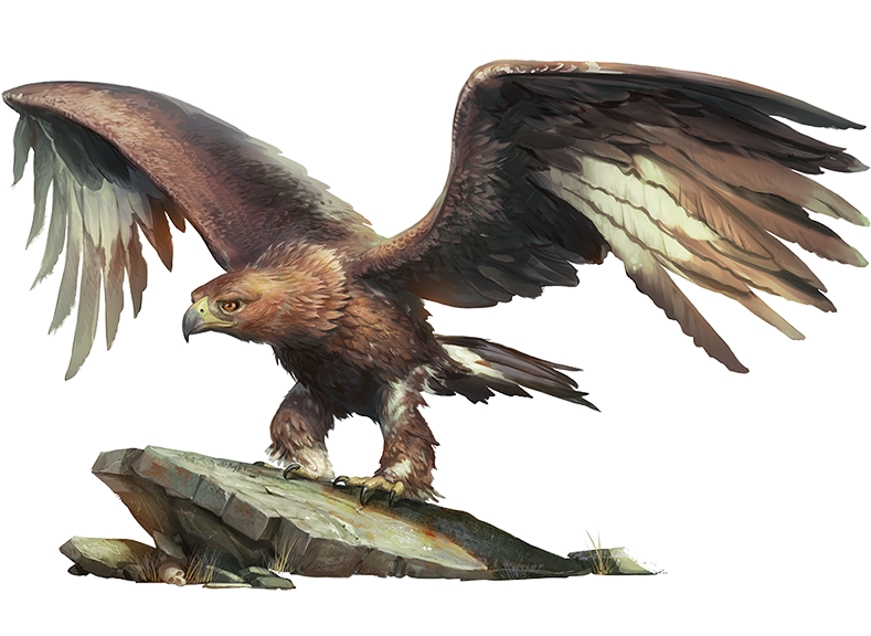 how to draw giant eagle