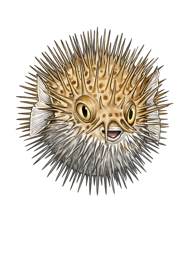 Pufferfish - Monsters - Archives of Nethys: Pathfinder 2nd Edition Database