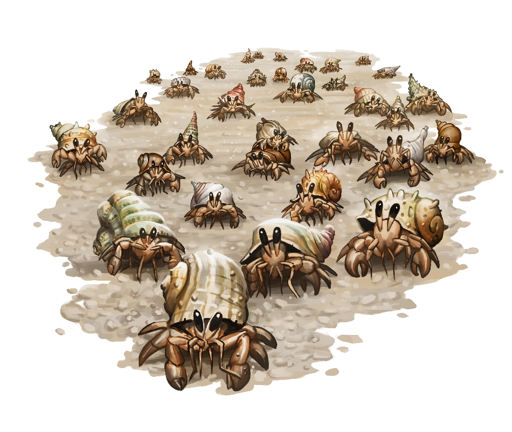 Hermit Crab Swarm - Monsters - Archives of Nethys: Pathfinder 2nd ...