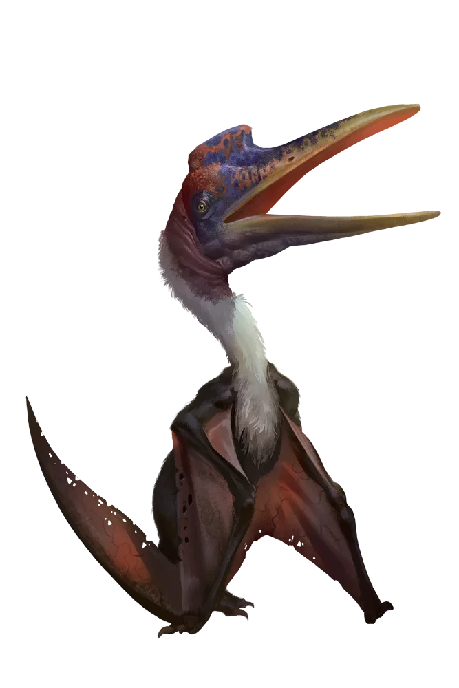 Quetzalcoatlus - Monsters - Archives of Nethys: Pathfinder 2nd Edition ...