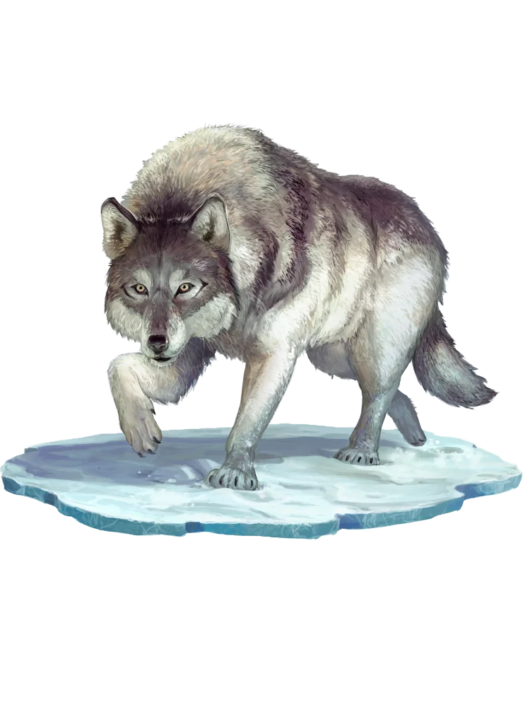 Wolf - Monsters - Archives of Nethys: Pathfinder 2nd Edition Database